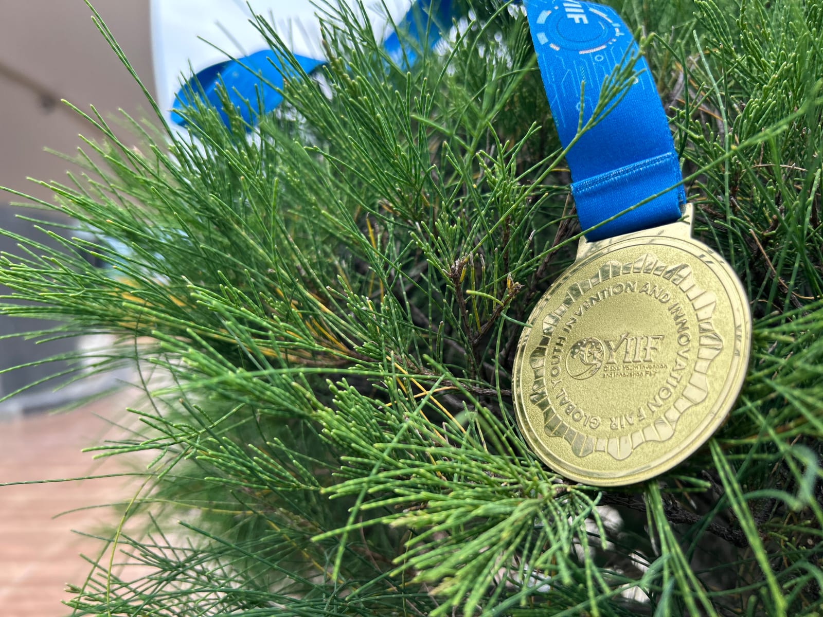 Thursina IIBS - Holistic & Balanced Education